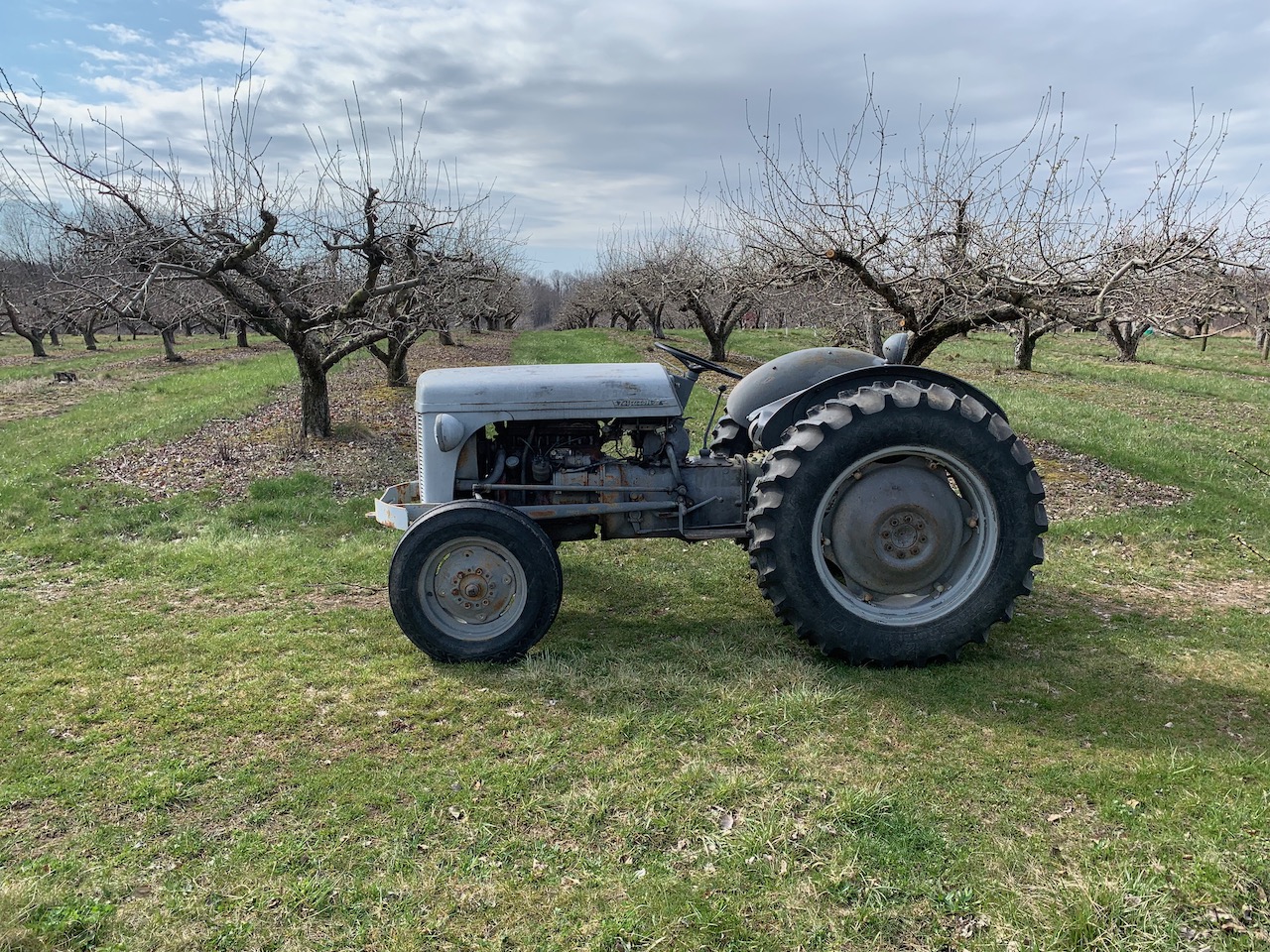 YT virtual tractor show -The blue and the gray thursday | Yesterday's ...