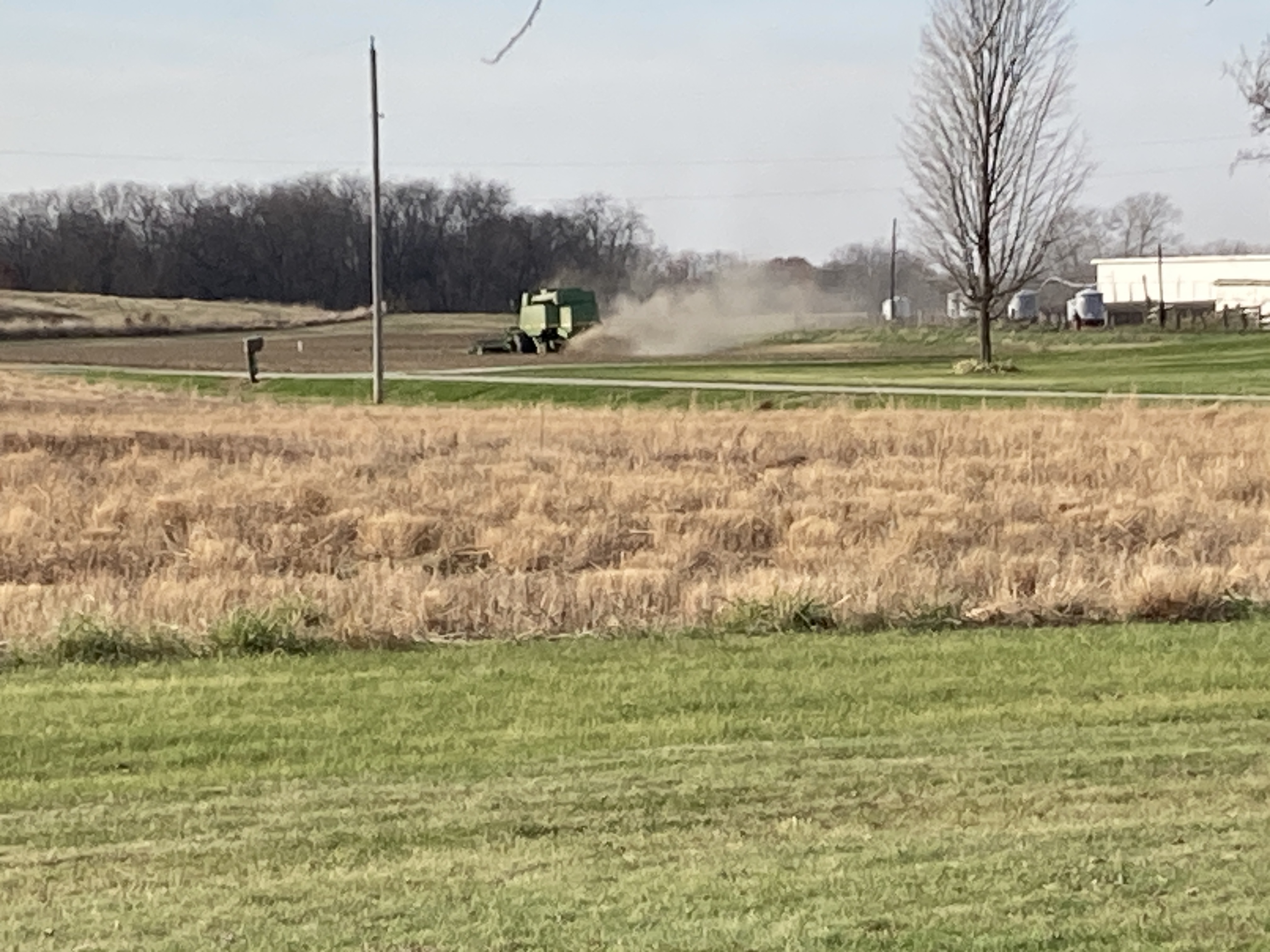 Double crop beans | Yesterday's Tractors Forums
