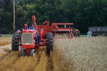 AC Combines | Yesterday's Tractors Forums